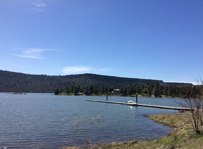 Health advisory issued for Ochoco Reservoir due to harmful algae bloom ...