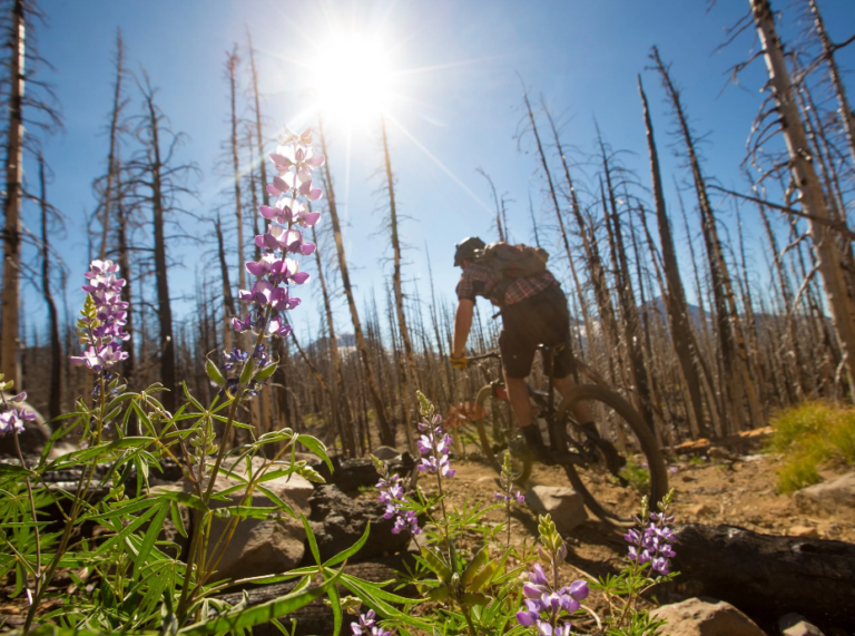Travel Oregon seeks a new boss at a more reasonable salary - Prineville ...